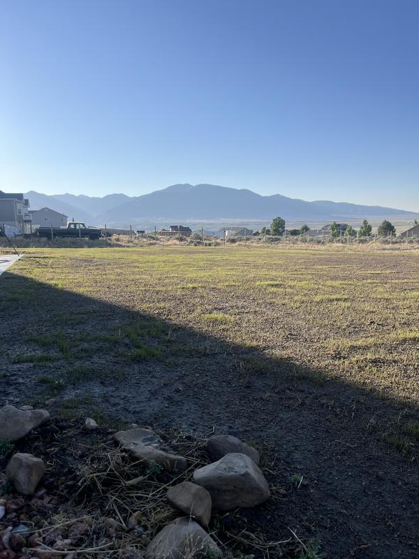GroundWork 50 lb. 35,000 sq. ft. Fast Lawn Grass Seed Mixture at ...