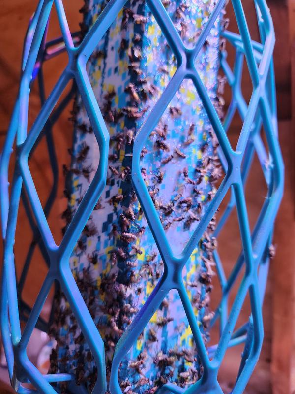 Rescue Deck and Patio Fly TrapStik at Tractor Supply Co