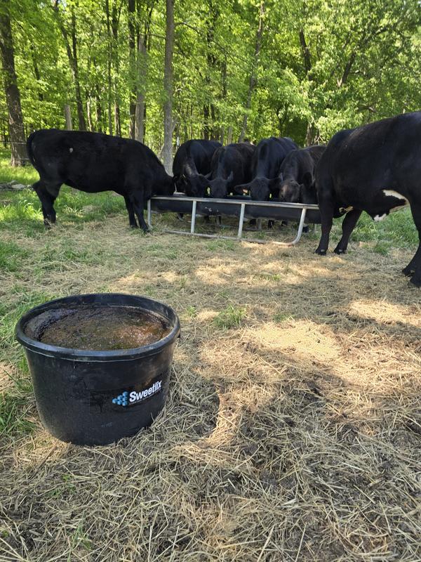 Sweetlix 20 Percent All Natural Tub, 200 lb. at Tractor Supply Co