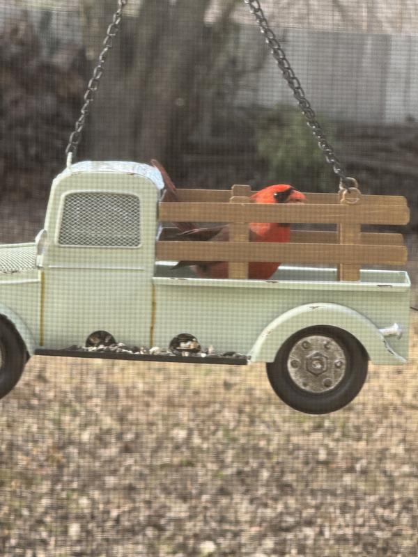 Royal Wing 3 lb. Metal Truck Bird Feeder, 15.75 in. at Tractor Supply Co