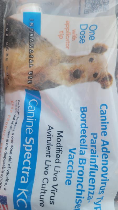 Spectra Canine Spectra KC 3 Intranasal Vaccine for Dogs at Tractor ...