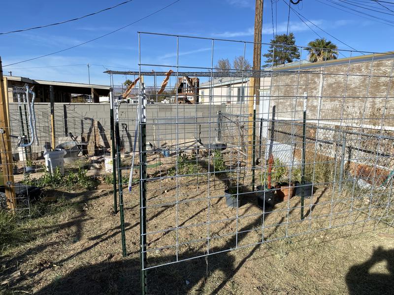 16 ft. x 50 in. Max 50 Feedlot 10-Line Galvanized Cattle Fence Panel at ...