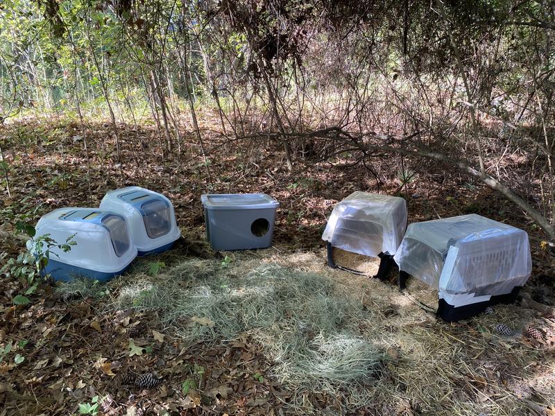 Standlee Premium Products Certified Weed Free Chopped Straw, 2 cu. ft ...