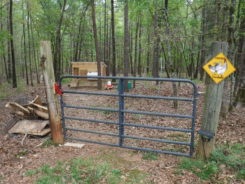 CountyLine 2-Way Lockable Gate Latch at Tractor Supply Co