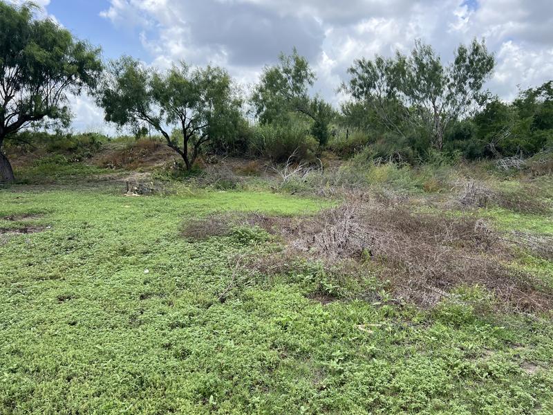 Remedy 1 gal. Herbicide, Concentrate at Tractor Supply Co