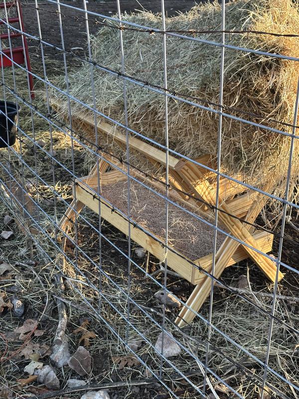 HCM 50 lb. 39 in. Livestock Feeder at Tractor Supply Co