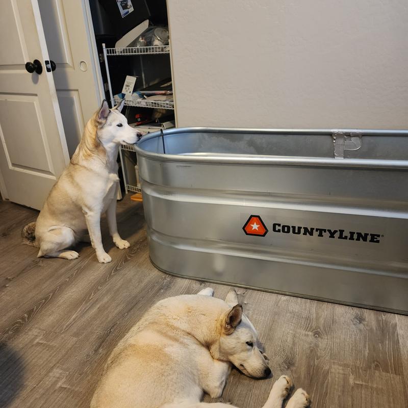 CountyLine 170 gal. Oval Galvanized Stock Tank, 2 ft. X 6 ft. X 2 ft ...