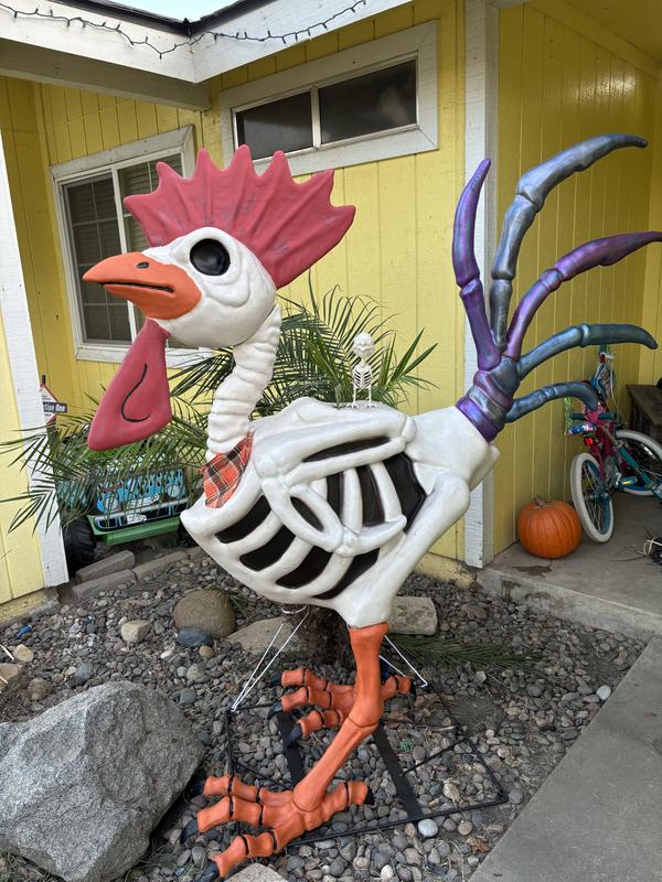 Red Shed 6 ft. Rooster Skeleton Halloween Decoration at Tractor Supply Co