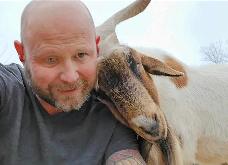 Purina Goat Grower 16 DQ .0015 Medicated Goat Feed, 50 lb. Bag at ...