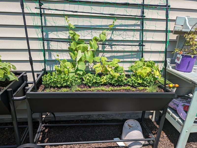 GroundWork 5.3 ft. Steel Rolling Planter, 49 in. x 23 in. at Tractor ...