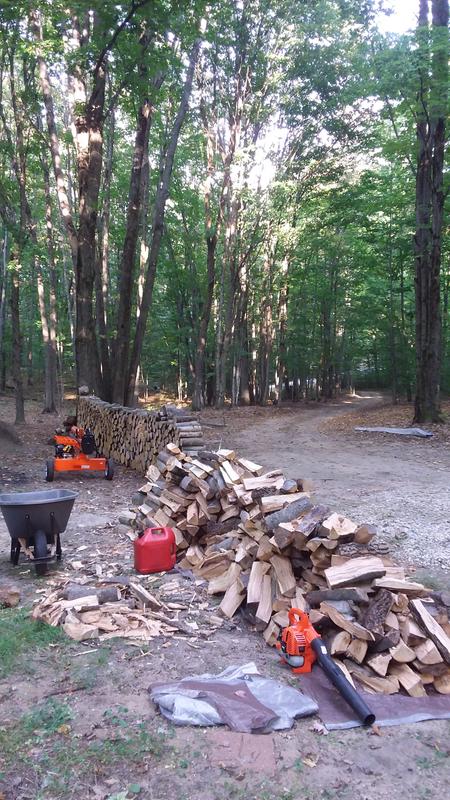 CountyLine 32-Ton Gas-Powered Horizontal/Vertical Log Splitter, Kohler ...