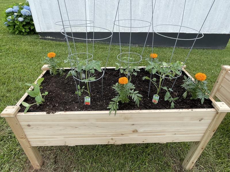 Veikous Cedar Raised Garden Bed Elevated Planter Box with Drainage ...