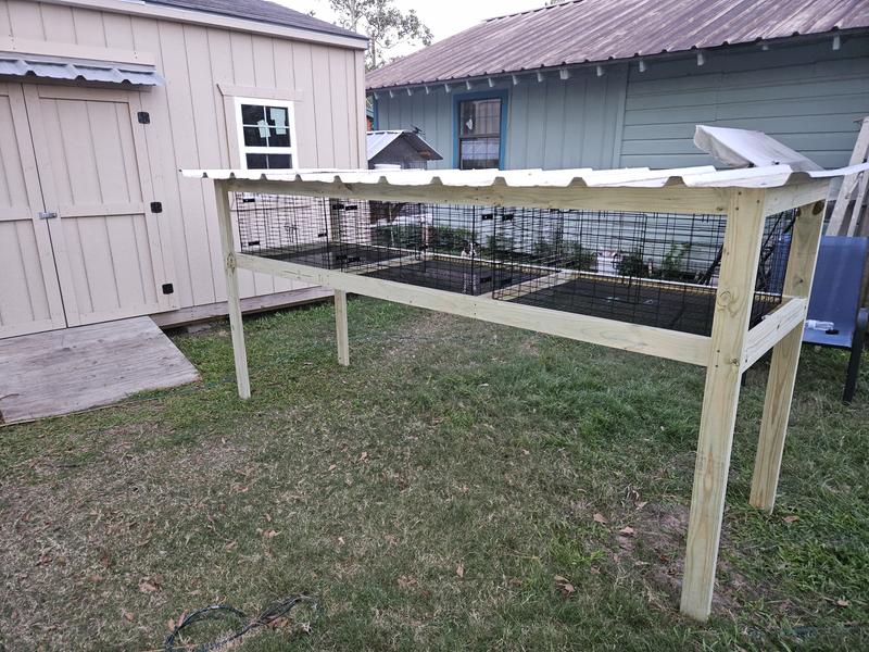 DuMOR Heavy-Duty Rabbit Cage, 36 in. x 30 in. at Tractor Supply Co