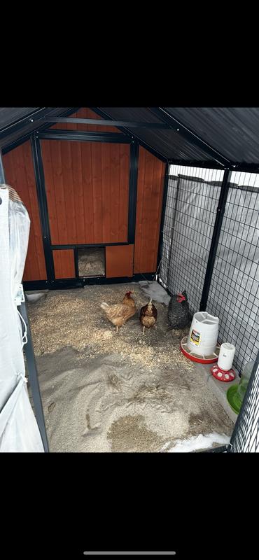 Producer's Pride Guardian Chicken Coop, 14 Chicken Capacity at Tractor ...