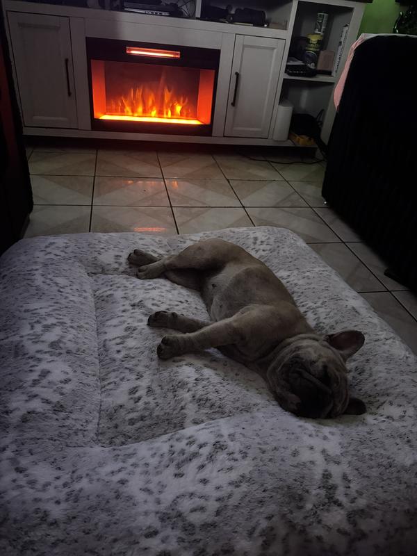 MuttNation Fueled by Miranda Lambert Embossed Square Donut Pet Bed at ...