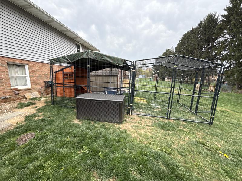 Producer's Pride Universal Poultry Pen, 24 Chicken Capacity, 8 ft. x 8 ...