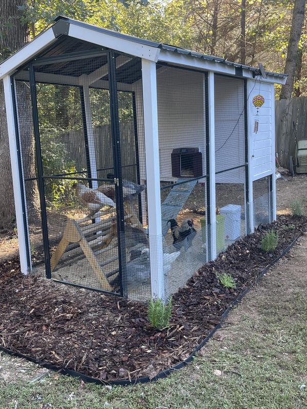 Producer's Pride Walk-In Chateau Chicken Coop, 14 Chicken Capacity at ...