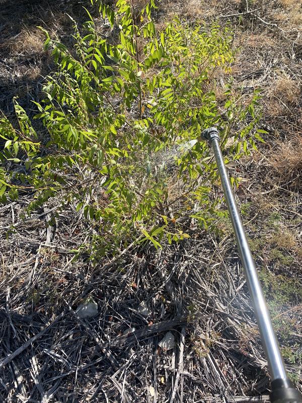 Remedy 1 gal. Herbicide, Concentrate at Tractor Supply Co