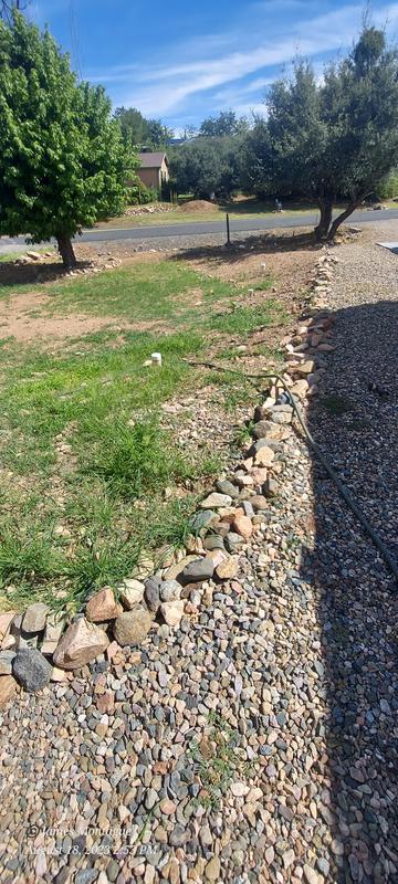 RM43 32 oz. Total Vegetation Control Weed Preventer Concentrate with ...