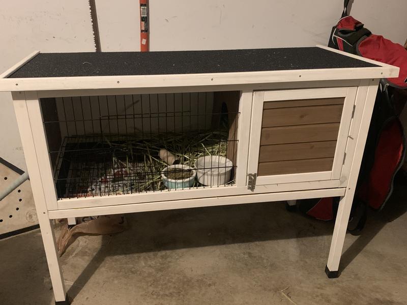 Zylina XL Extreme Rabbit Hutch at Tractor Supply Co