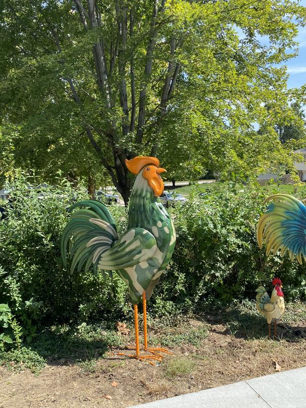 Red Shed Camo Metal Rooster, 6 ft., Green & Orange at Tractor Supply Co