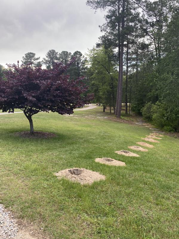 CountyLine 12 in. Auger for Post Hole Diggers at Tractor Supply Co