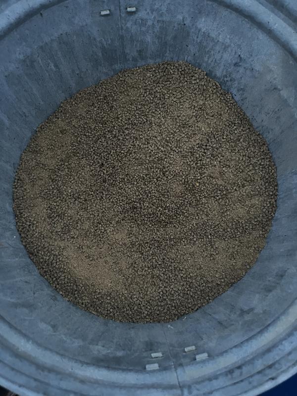 DuMOR Hog Grower Pelleted Hog Feed, 50 lb. Bag at Tractor Supply Co