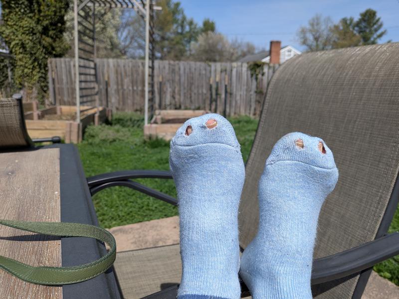 Ridgecut Women's Work Crew Socks, 9-11,Teal at Tractor Supply Co