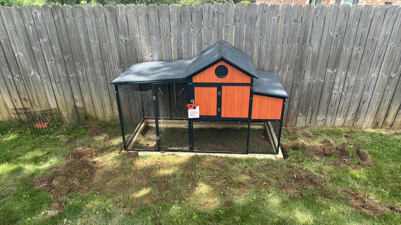 Producer's Pride Sentinel Chicken Coop, 6 Chicken Capacity at Tractor ...