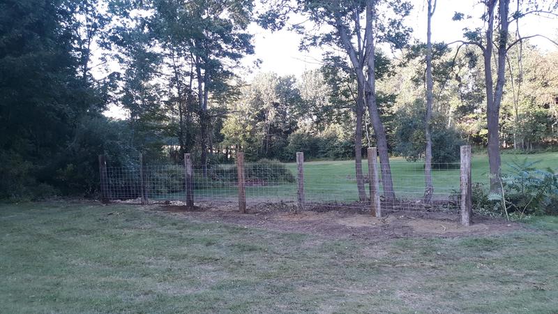 CountyLine 12 in. Auger for Post Hole Diggers at Tractor Supply Co