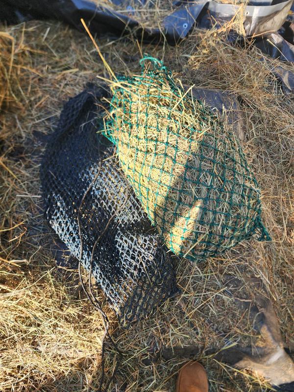 Tough1 Premium Slow Feed Hay Net, 42 in.,Purple at Tractor Supply Co