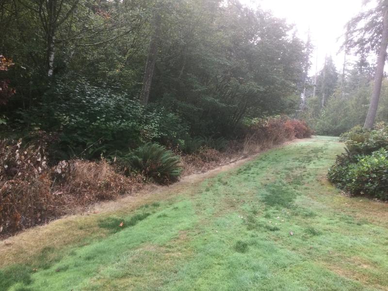 RM43 2.5 gal. Total Vegetation Control Weed Preventer Concentrate with ...