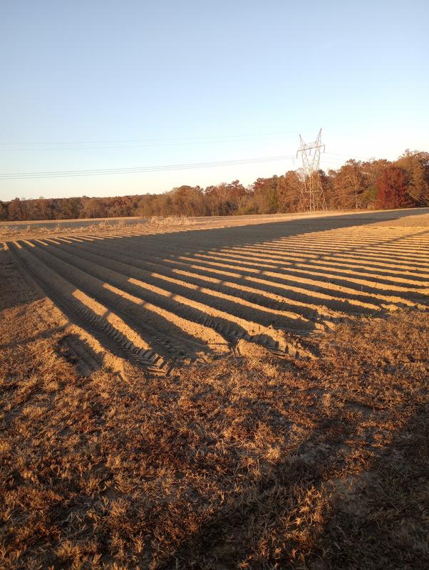 CountyLine 3-Point Middle Buster, MBCL at Tractor Supply Co