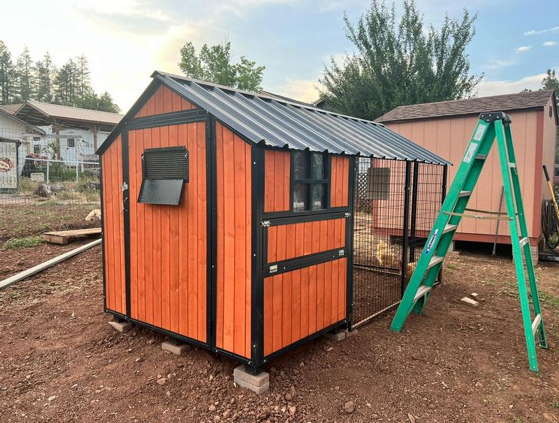 Producer's Pride Guardian Chicken Coop, 14 Chicken Capacity at Tractor ...