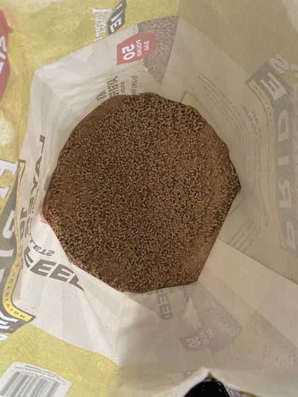 Producer's Pride 16% Layer Pelleted Chicken Feed, 50 lb. Bag at Tractor ...