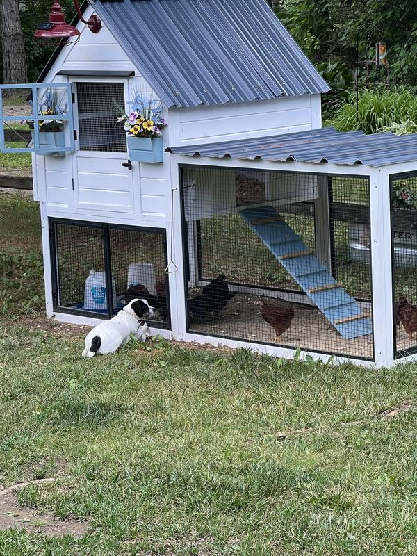 Producer's Pride Villa Chicken Coop, 12 Chicken Capacity at Tractor ...