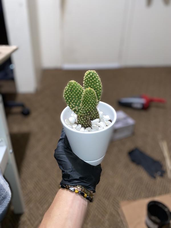 EP Minerals 33 lb. Safe T Sorb Oil Absorbent at Tractor Supply Co