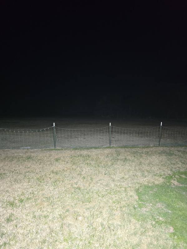 JobSmart 9,000-Lumen Twin Head SMD Work Light at Tractor Supply Co