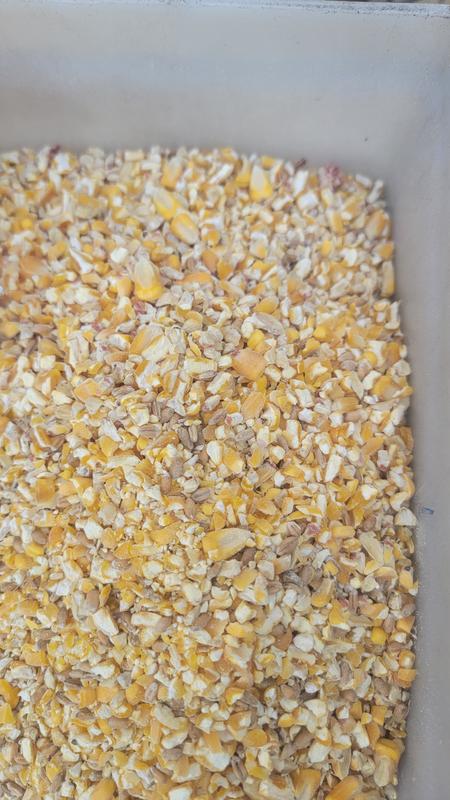 Producer's Pride Scratch Grains Poultry Feed, 50 lb. Bag at Tractor ...