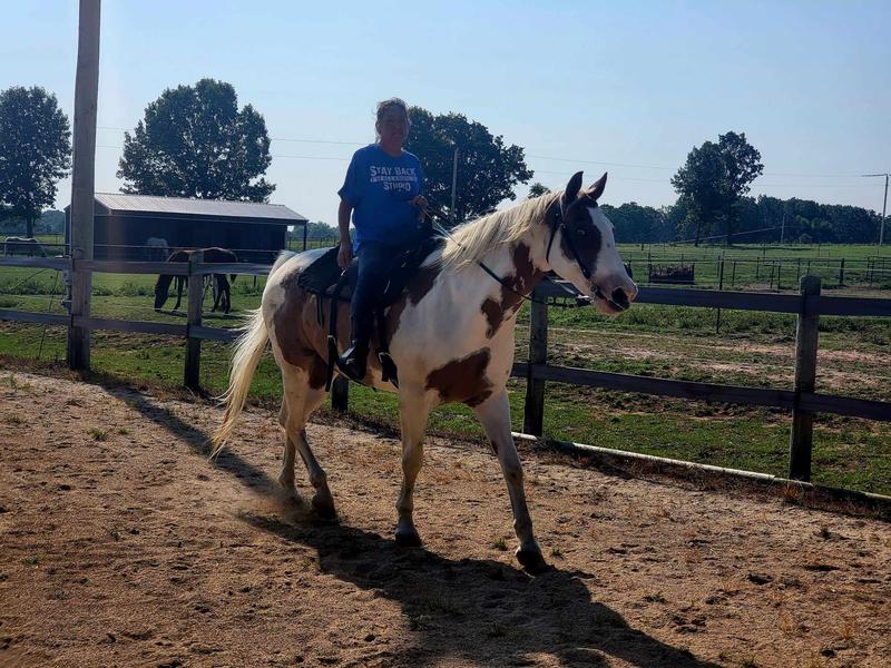 Nutrena ProForce Textured Senior Horse Feed, 50 lb. Bag at Tractor ...