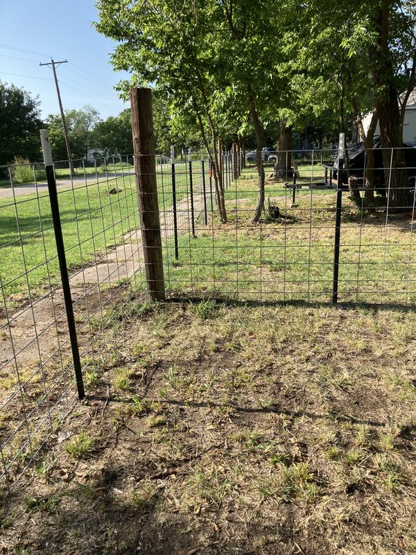 6 ft. Studded T-Post, 1.25 lb. per ft. with Anchor Plate at Tractor ...