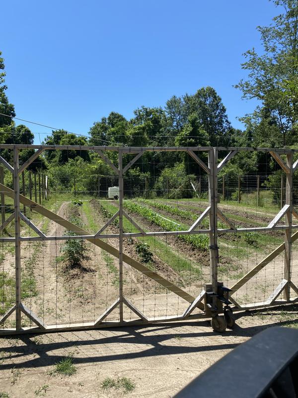 CountyLine 3-Point Middle Buster, MBCL at Tractor Supply Co