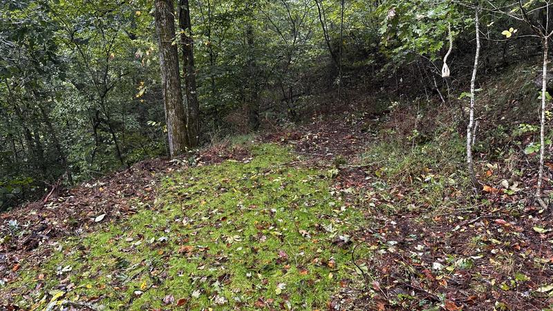 Wildlife Research Center 54 oz. Golden Rope Scent Rope Kit at Tractor ...