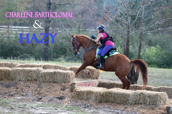 Stabul Fenugreek Nuggets Horse Treats at Tractor Supply Co