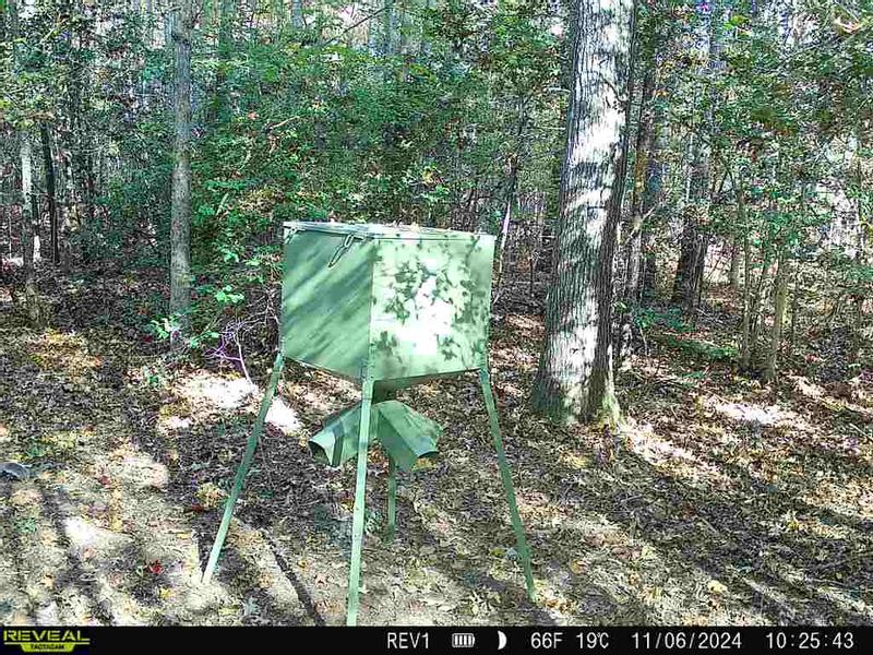 treeline 600 lb. Timed Protein Feeder at Tractor Supply Co