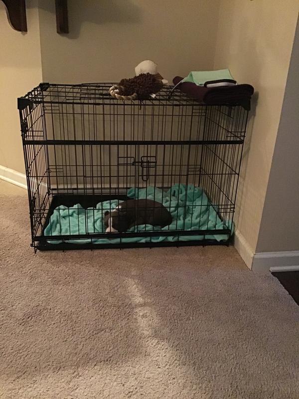 Lucky Dog Whisper Glide Sliding 2-Door Steel Dog Crate, Corner ...