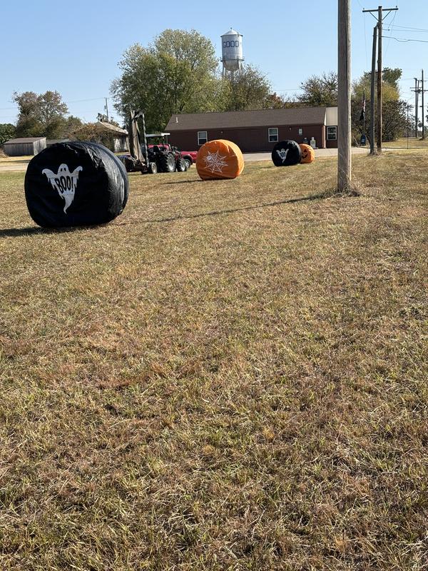 Country Canvas Holiday Bale Cover, 4 in. x 8.5 in. x 11 in., Christmas ...