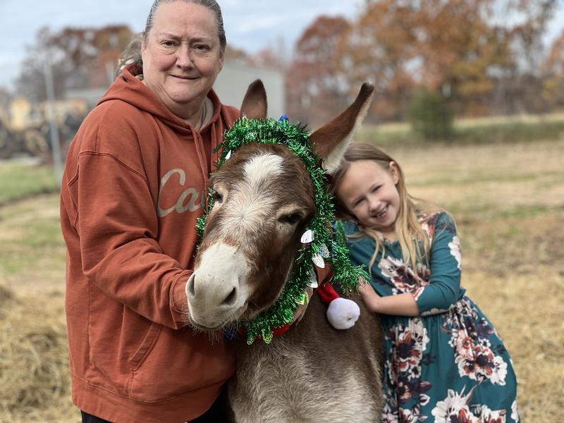 Standlee Premium Western Forage Certified Timothy Grass Hay Pellet ...