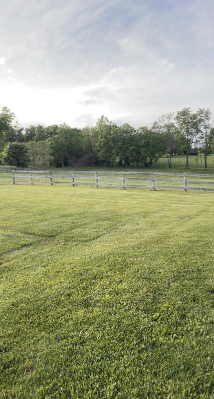 Gordon's 2.5 gal. Pasture Pro Herbicide, Concentrate at Tractor Supply Co