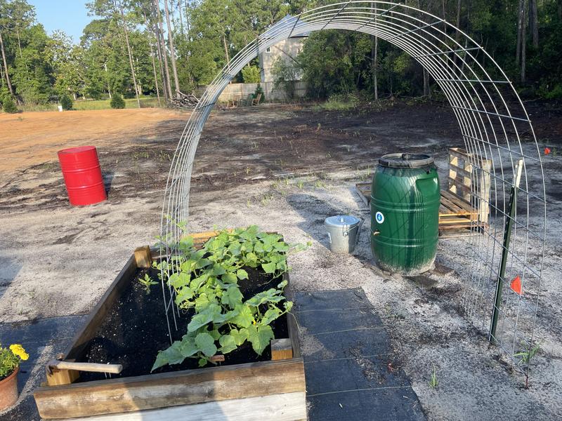 16 ft. x 50 in. Max 50 Feedlot 10-Line Galvanized Cattle Fence Panel at ...